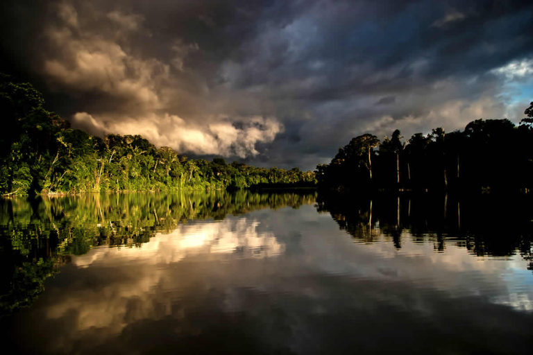 Tour Manu National Park 4 days | DonPeruTours.com